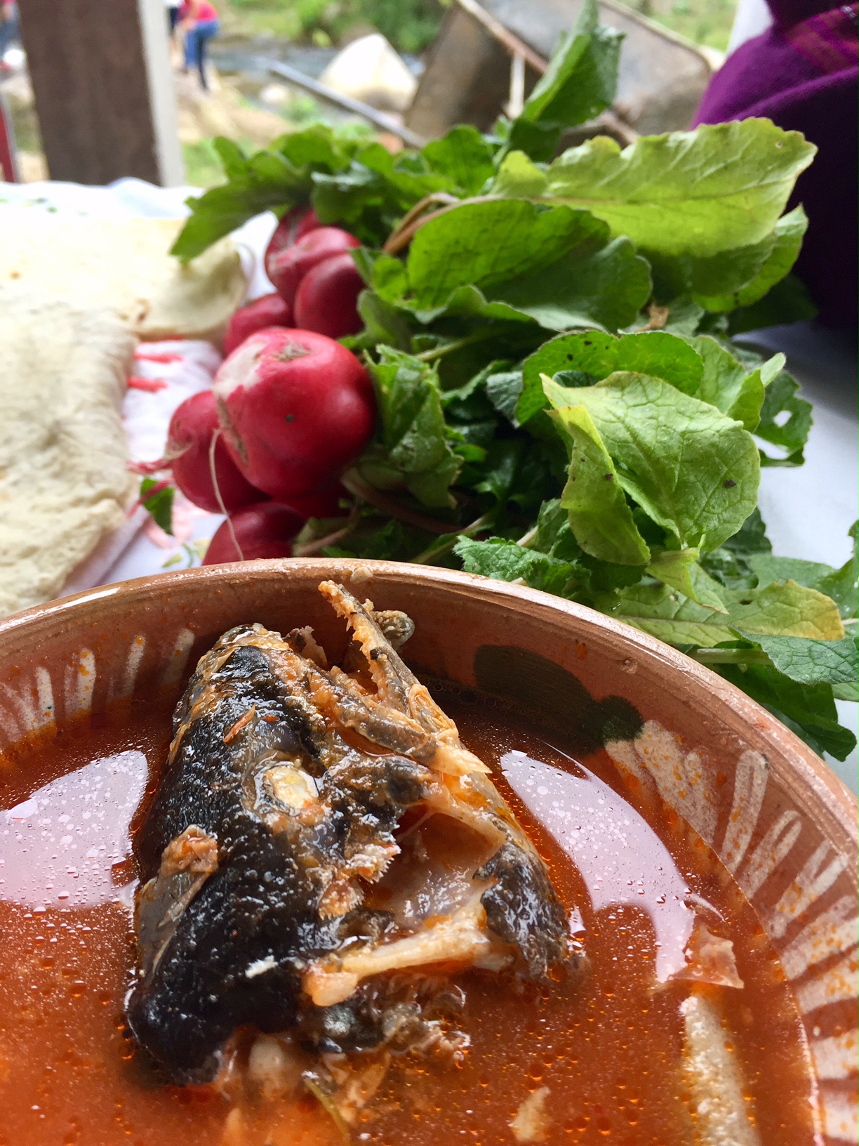 How The Indigenous Zapotec Community Is “El Buen Vivir” - Living Well ...