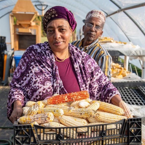 Black-and-Indigenous-Food-Sovereignty- WhyHunger